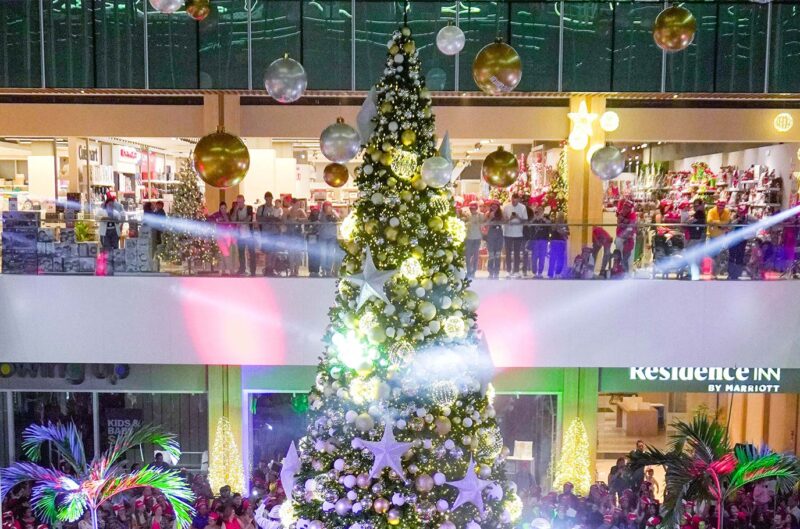 Pacific Center | Where the city meets